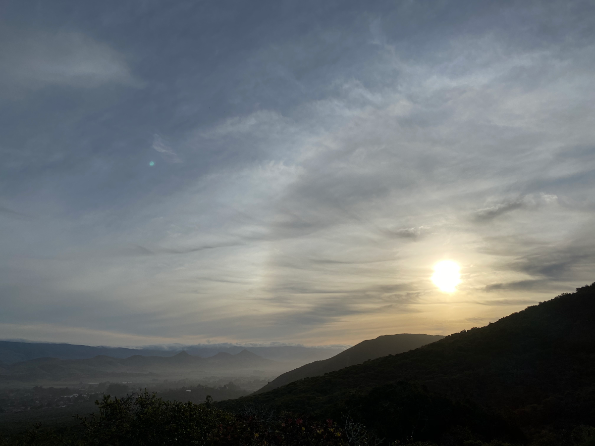 E4 ALIVE - The most powerful lifestyle program gets even better - 12 ...