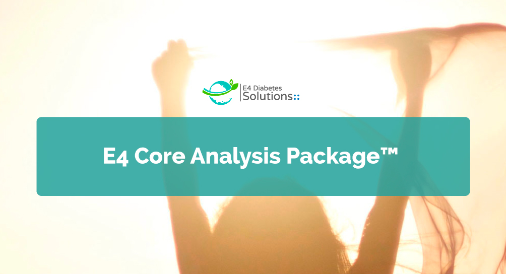 E4 Core Analysis Package - E4 Home - E4 Diabetes Solutions - E4 Life