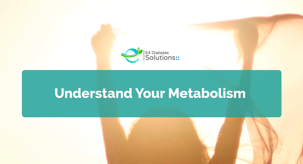 E4 ALIVE Advanced Analysis - At Lab Version - 20 discount - E4 Home ...