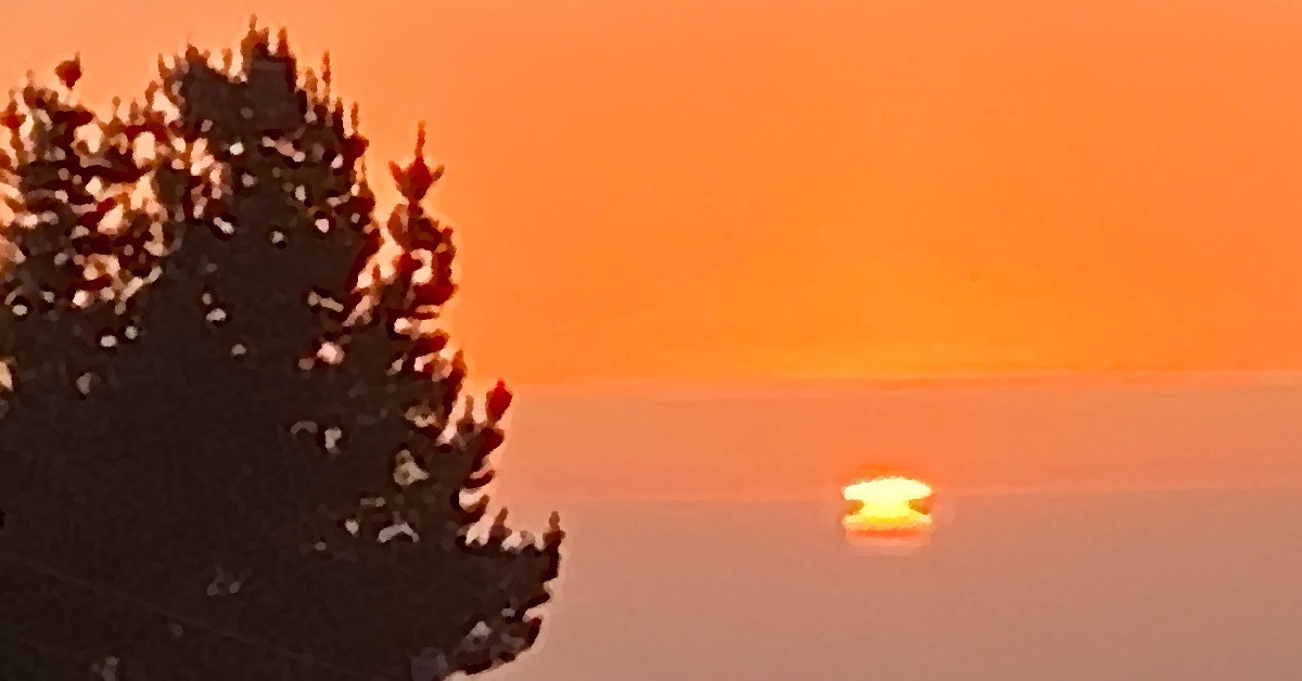 E4 Life - E4 Diabetes Solutions Corona Virus Health Tips and At-home ...